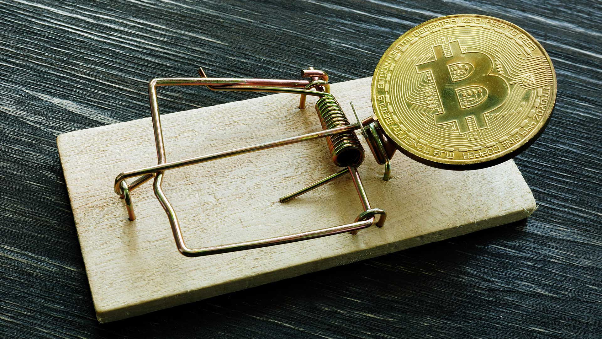 The Rise of Crypto Ponzi Schemes: How to Spot and Avoid Them - EPIQ ...